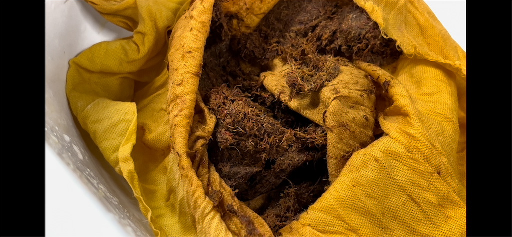 カルタミン色素の抽出とセルロース繊維への染色 （紅花染め） - VCPteam’s blog