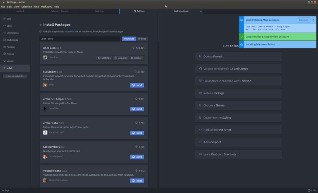 Ubuntu16.04にjuliaをIDE付きでインストールするまで - CV・NLPハマりどころメモ