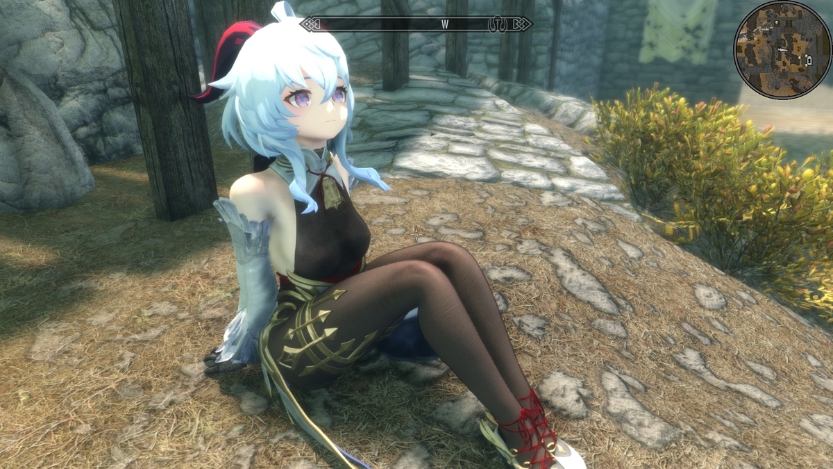 【Mod】Skyrimに原神の甘雨を導入する手順 - オタクパパの日常