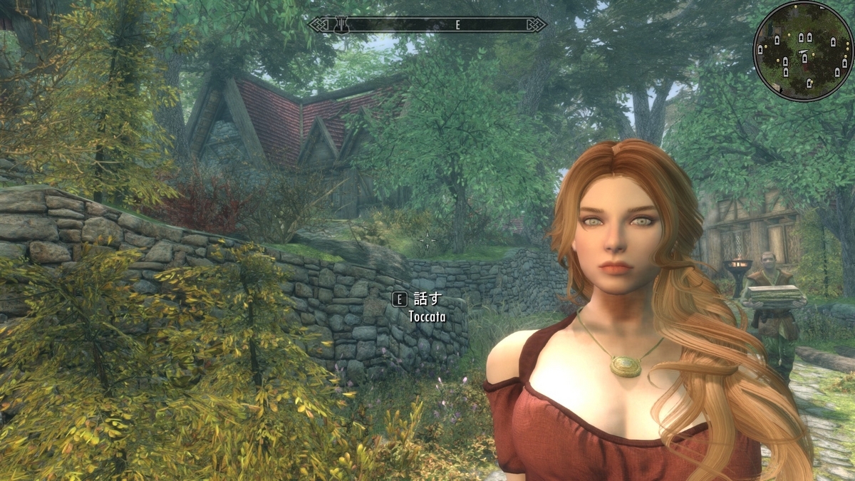 【Skyrim】景観美化MODおすすめ紹介【2023年】 - オタクパパの日常