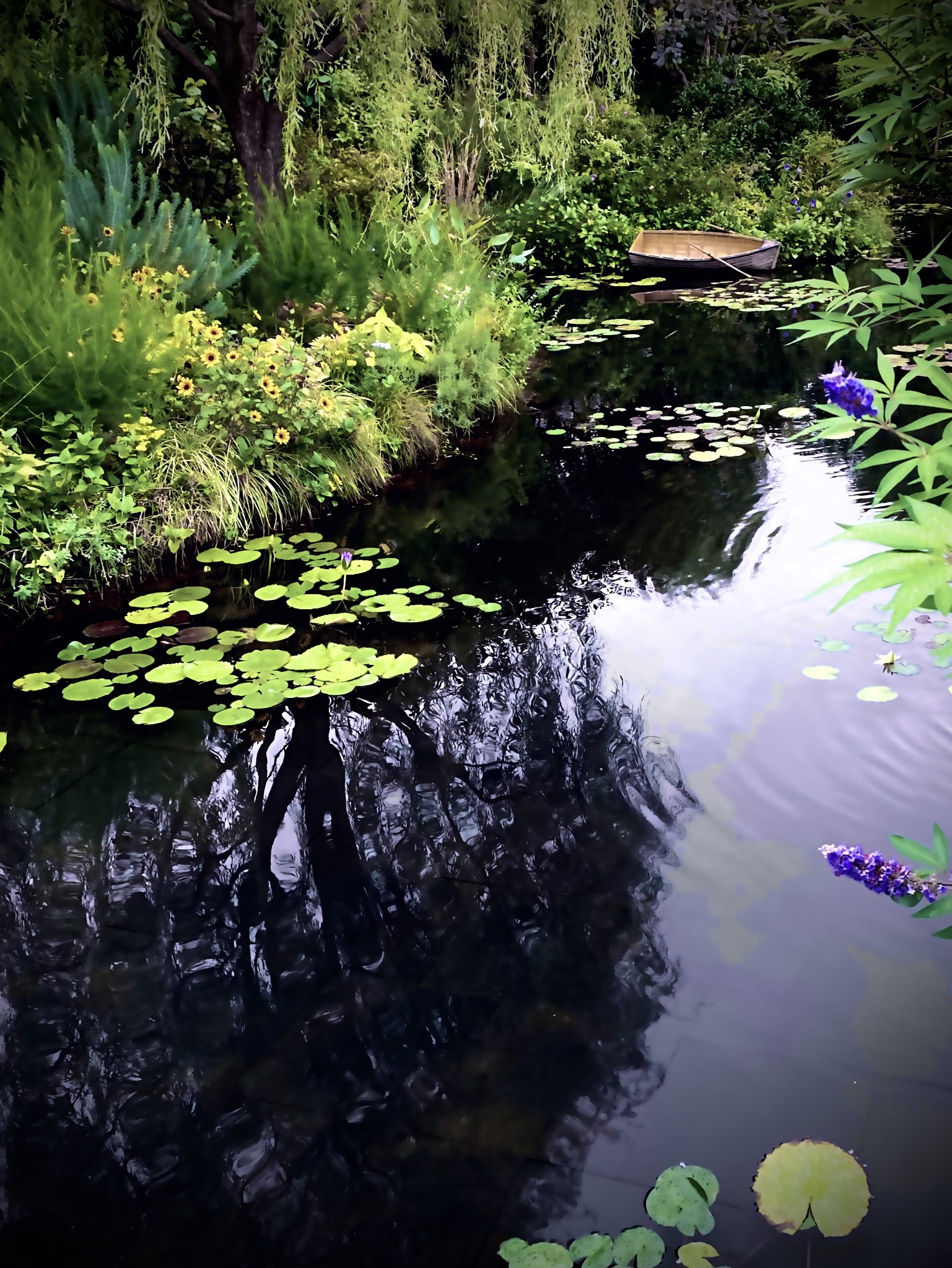 個別「20220923205050」の写真、画像 - Hatena Blog - WaterRabbit's fotolife