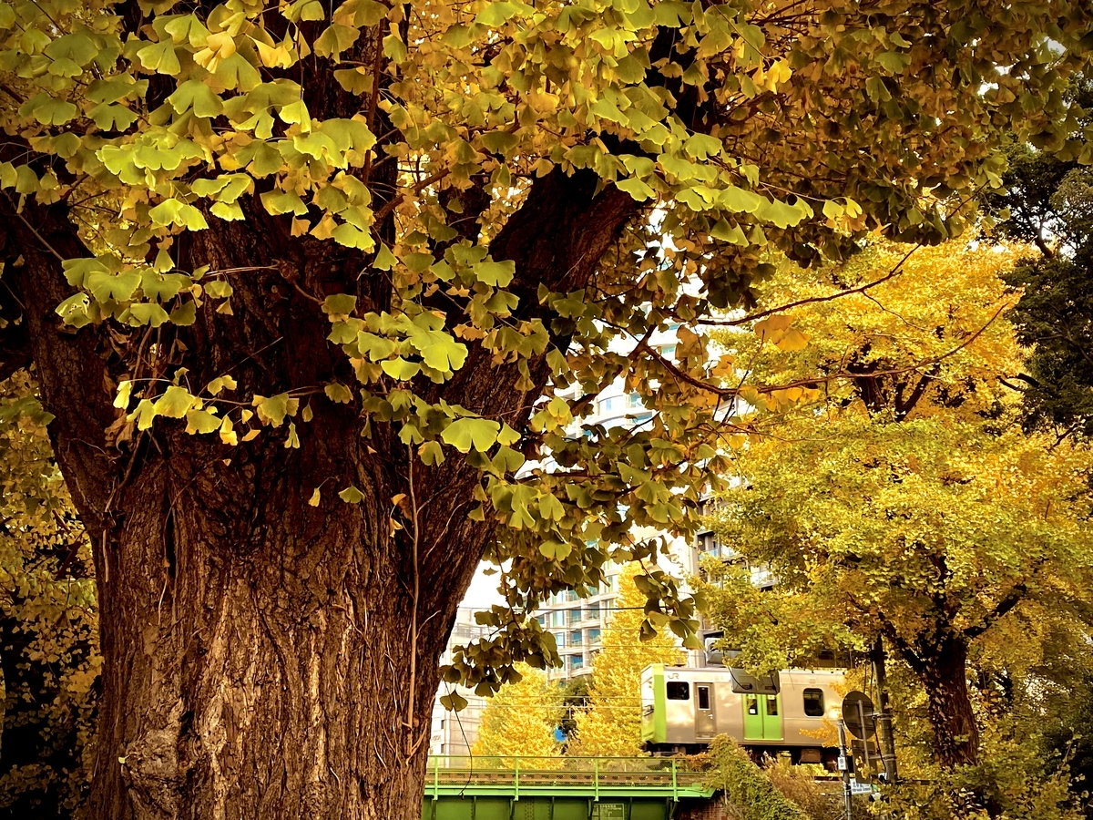 個別「20221203210811」の写真、画像 - Hatena Blog - WaterRabbit's fotolife