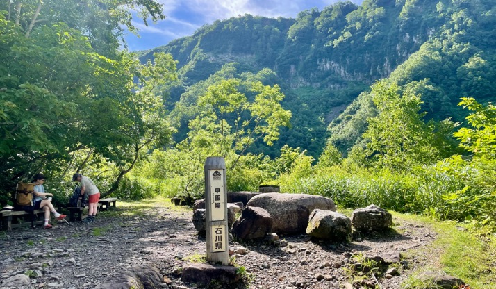 白山：まさに高山植物の宝庫 - 二百名山を気長に登るブログ