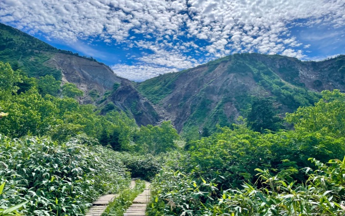 白山：まさに高山植物の宝庫 - 二百名山を気長に登るブログ
