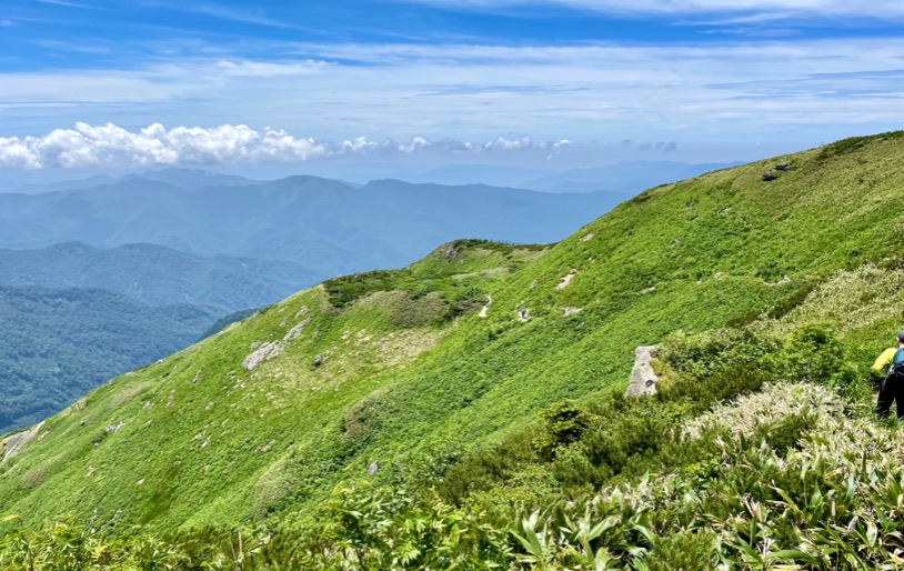 白山：まさに高山植物の宝庫 - 二百名山を気長に登るブログ