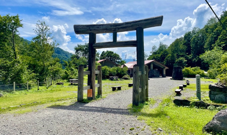白山：まさに高山植物の宝庫 - 二百名山を気長に登るブログ