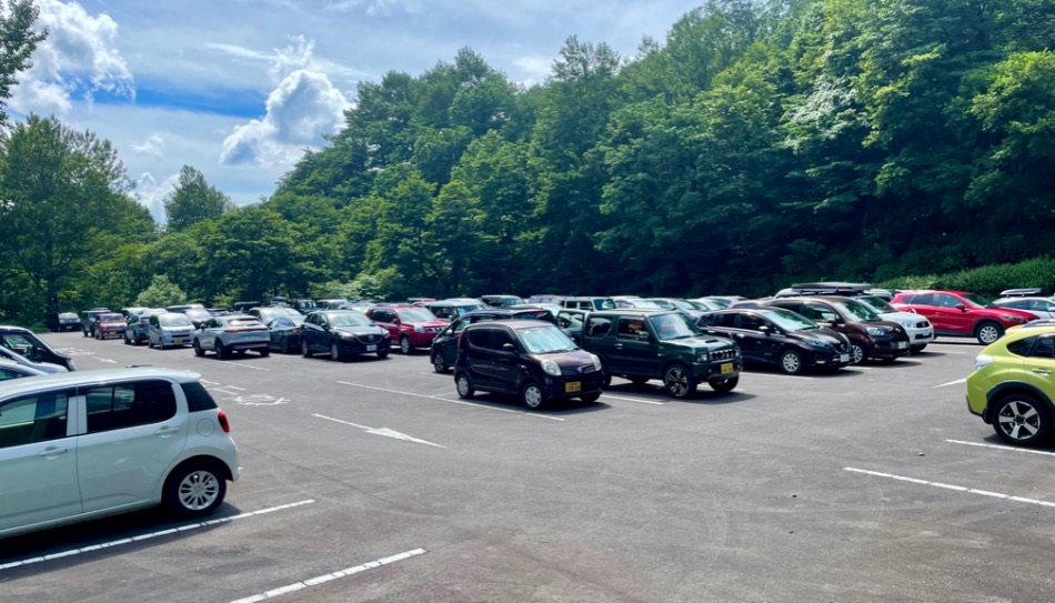 白山：まさに高山植物の宝庫 - 二百名山を気長に登るブログ