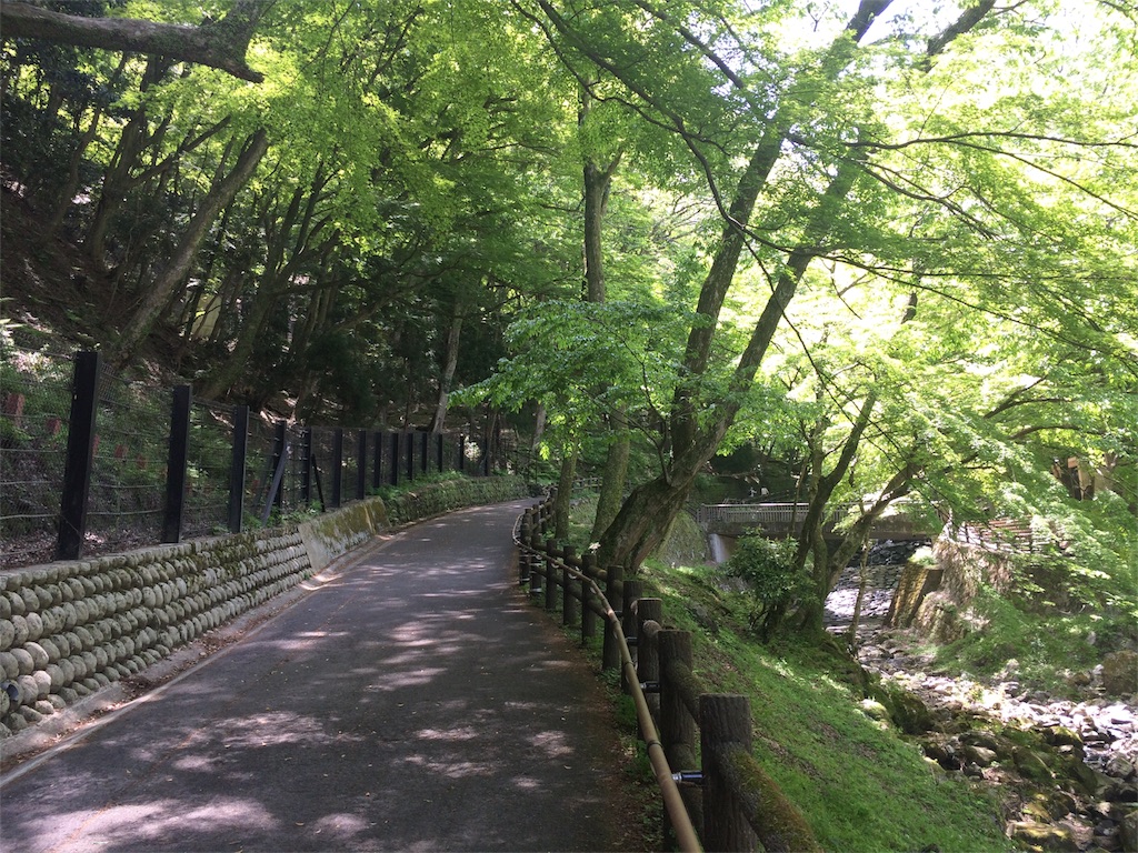 養老の滝とひょうたんらんぷ館で涙を流してきたよ。 - ゆうこどんの遊園地(*´꒳`*)