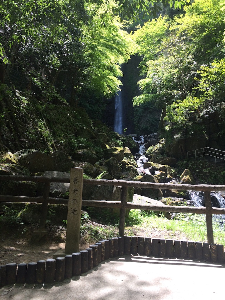 養老の滝とひょうたんらんぷ館で涙を流してきたよ。 - ゆうこどんの遊園地(*´꒳`*)
