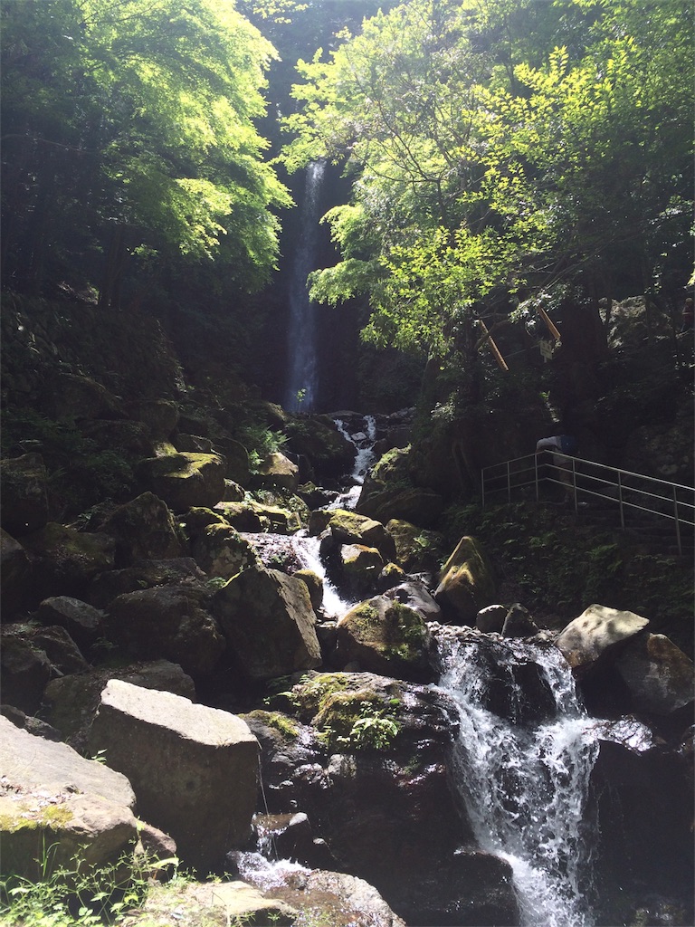 養老の滝とひょうたんらんぷ館で涙を流してきたよ。 - ゆうこどんの遊園地(*´꒳`*)