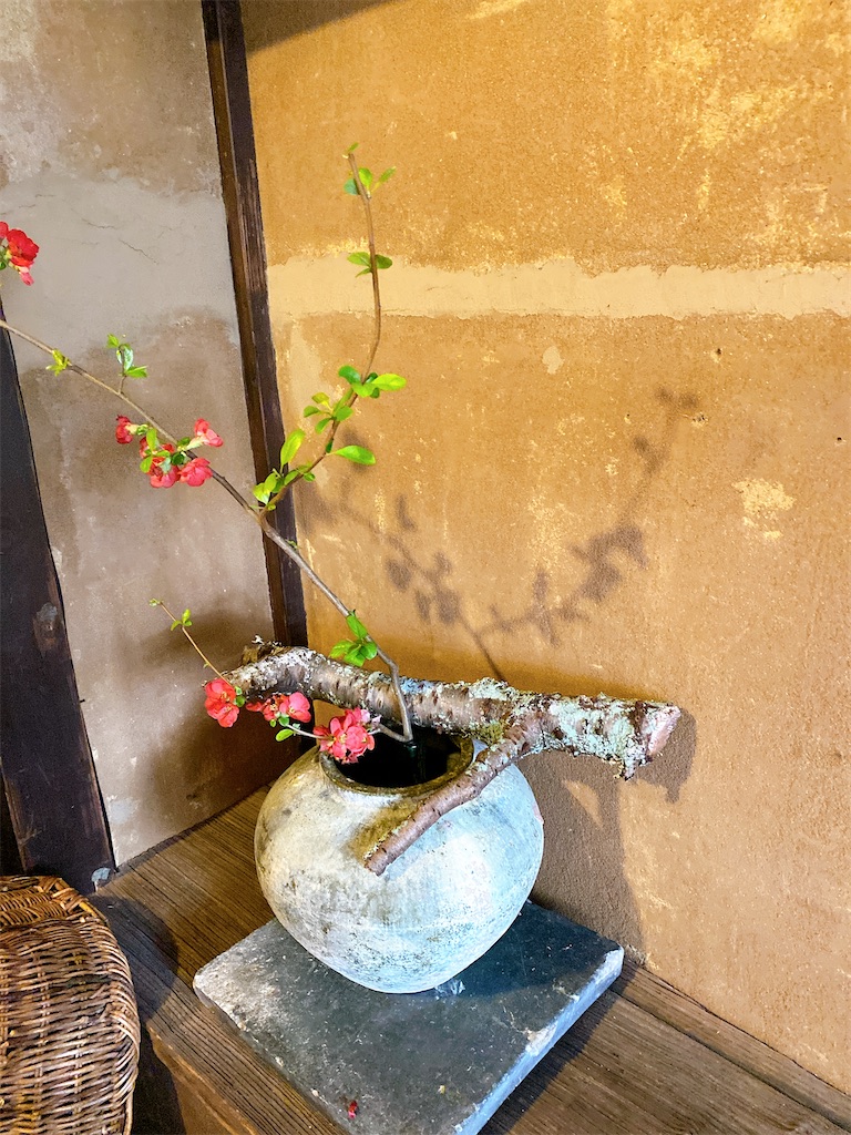 【aotake】アオタケ🍵京都駅近くお一人様で行ってみた ️内緒にしたい京町屋カフェ🍵 - ゆこの気ままな京都暮らし