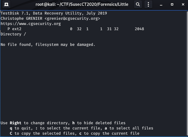 Little - SuSeC CTF 2020 Forensics writeup - 4ensiX