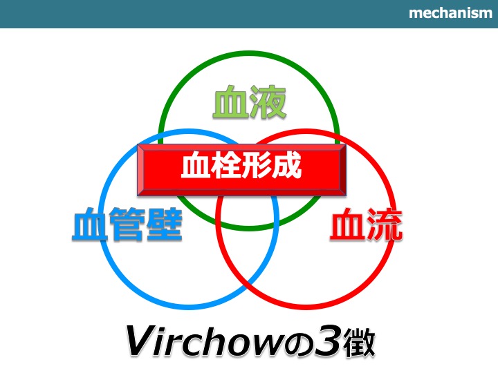 DVTのミカタ 整形外科編 - JNPゾエの看護？覚書in城東
