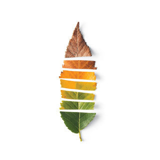 first day of autumn - a-hareのブログ
