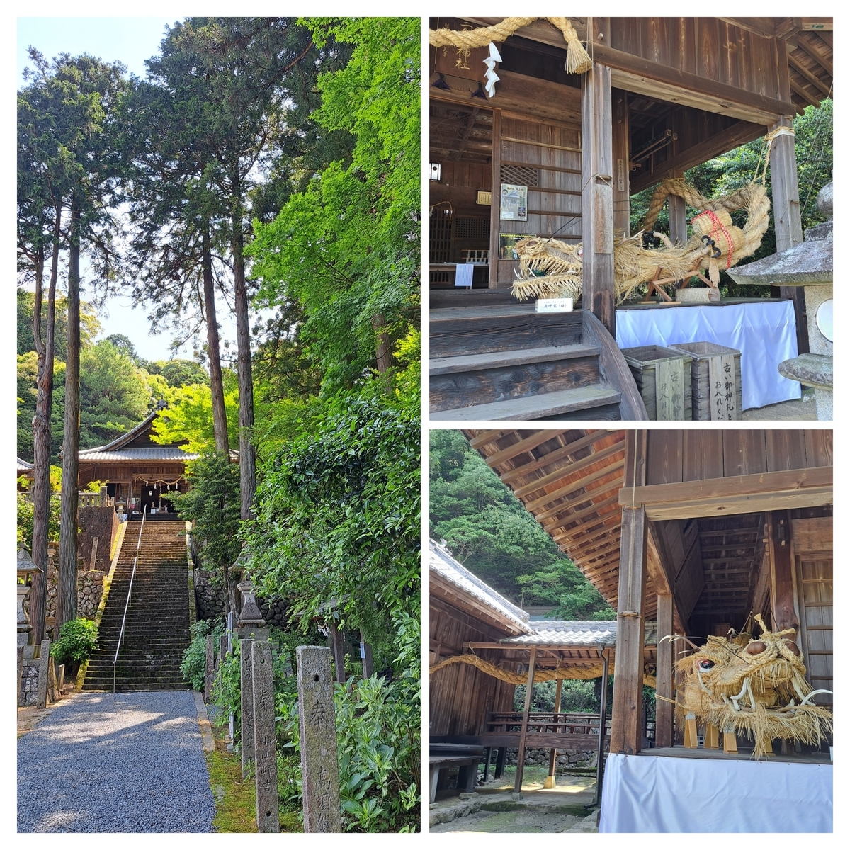 アジサイと花菖蒲を見たくて - a0084’s diary