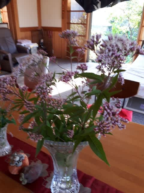 花一杯のデイサービスで🎵 - a0084’s diary