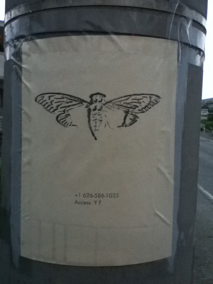 Cicada3301 謎の暗号 世界中のハッカーやプログラマーでも解読不可能 - リアイム