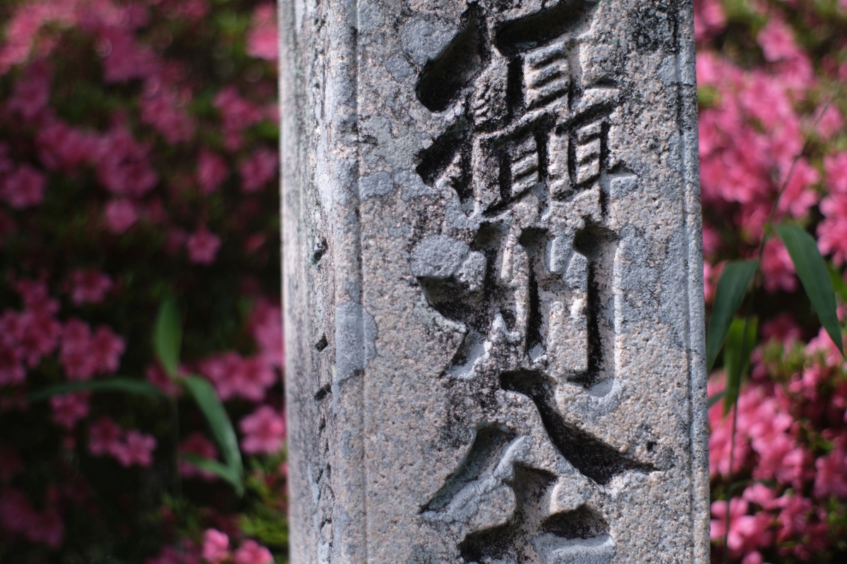 OSANON 55mm F1.8 と散歩 - Futatabi-Hajimeru