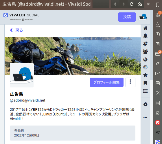 Vivaldiパネル上の Vivaldi Social（ビバ丼） のアイコン周りの余白を狭くする - adbird（広告鳥） 備忘録