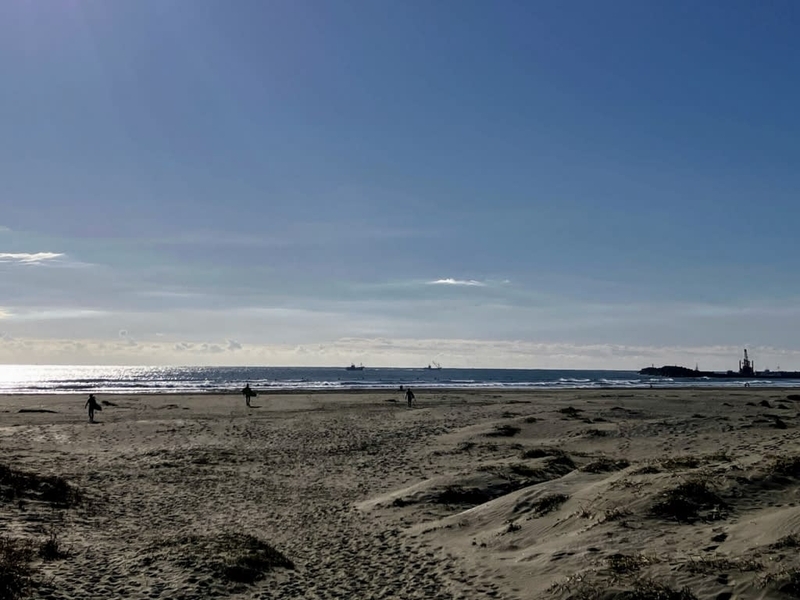 Surf#104 オフ膝腿SET腰 サンドウィッチ&菓子パン - 波乗り後日記 (aftersurf’s diary)