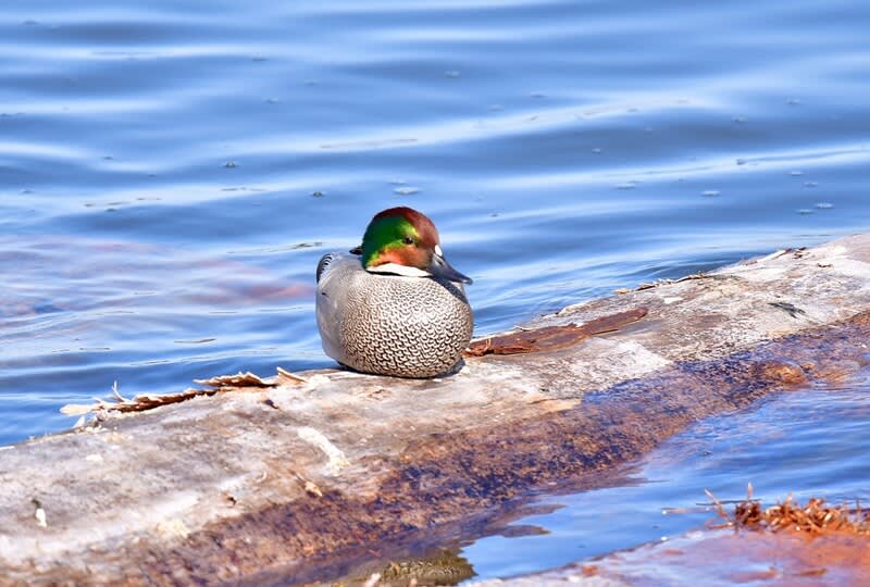 休息 - agohige.hiro3