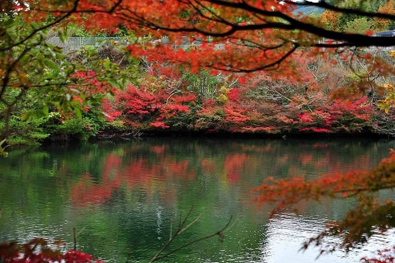 紅葉 - agohige.hiro3