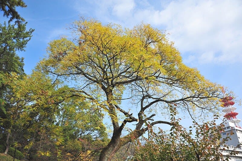 風景 - agohige.hiro3