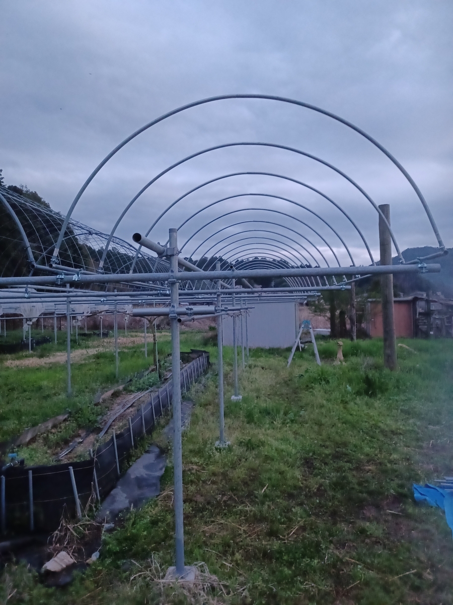 ぶどう棚つくり - agrapeのブログ