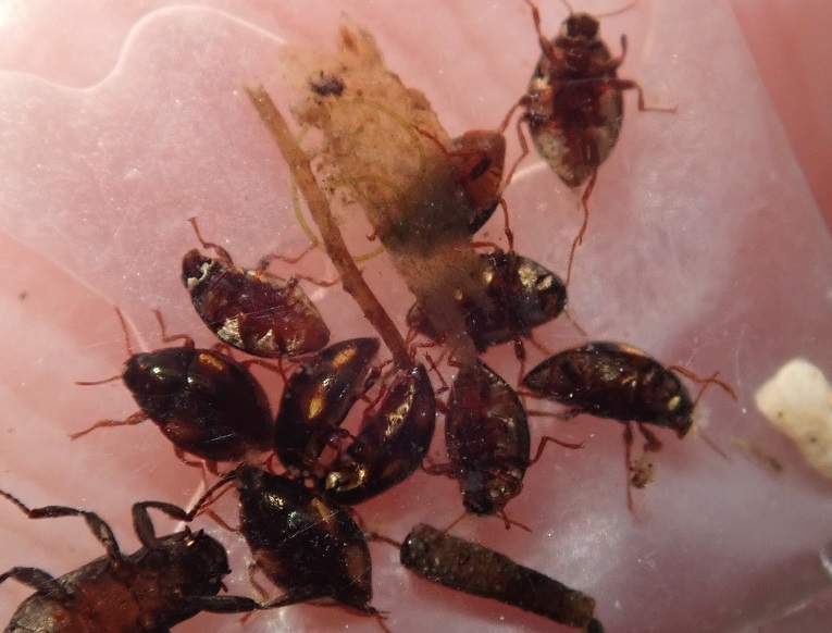 山陰 8/23～25 - 鮒次郎のブログ