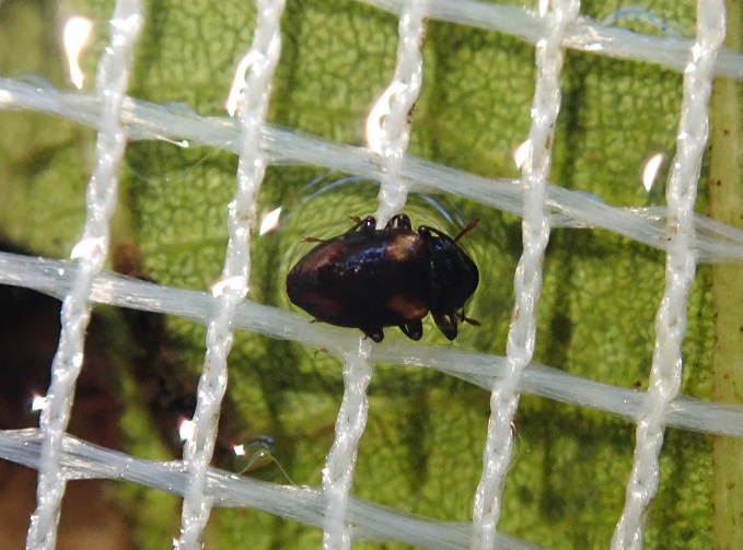 山陰 8/23～25 - 鮒次郎のブログ