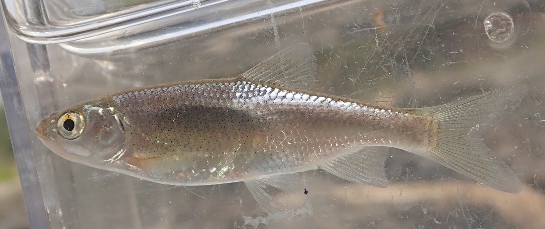 台湾遠征6 2020/2/28 - 鮒次郎のブログ