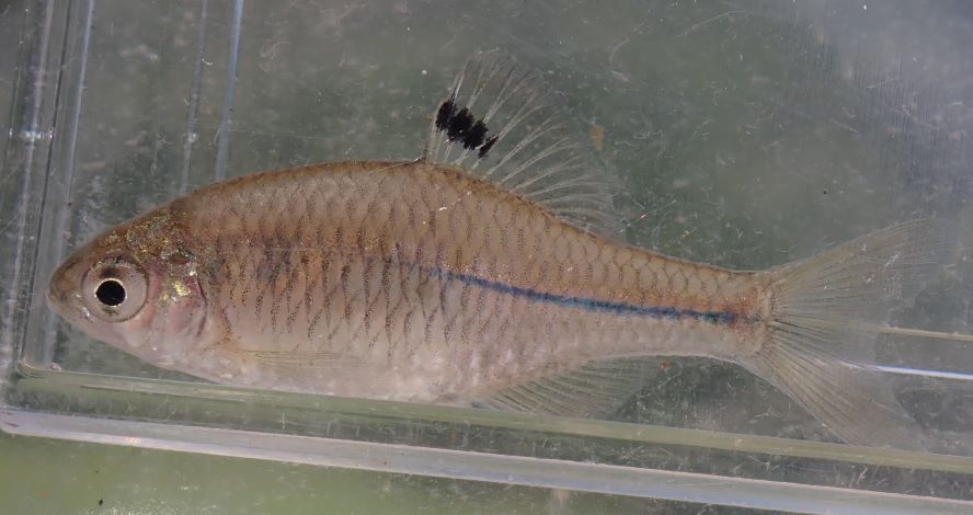 九州一周の旅4 2020/09/28 - 鮒次郎のブログ