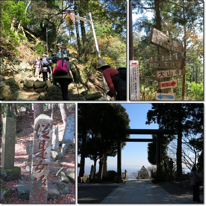 大山街道ウォーク第11回 （最終回） - akiko-H’s diary