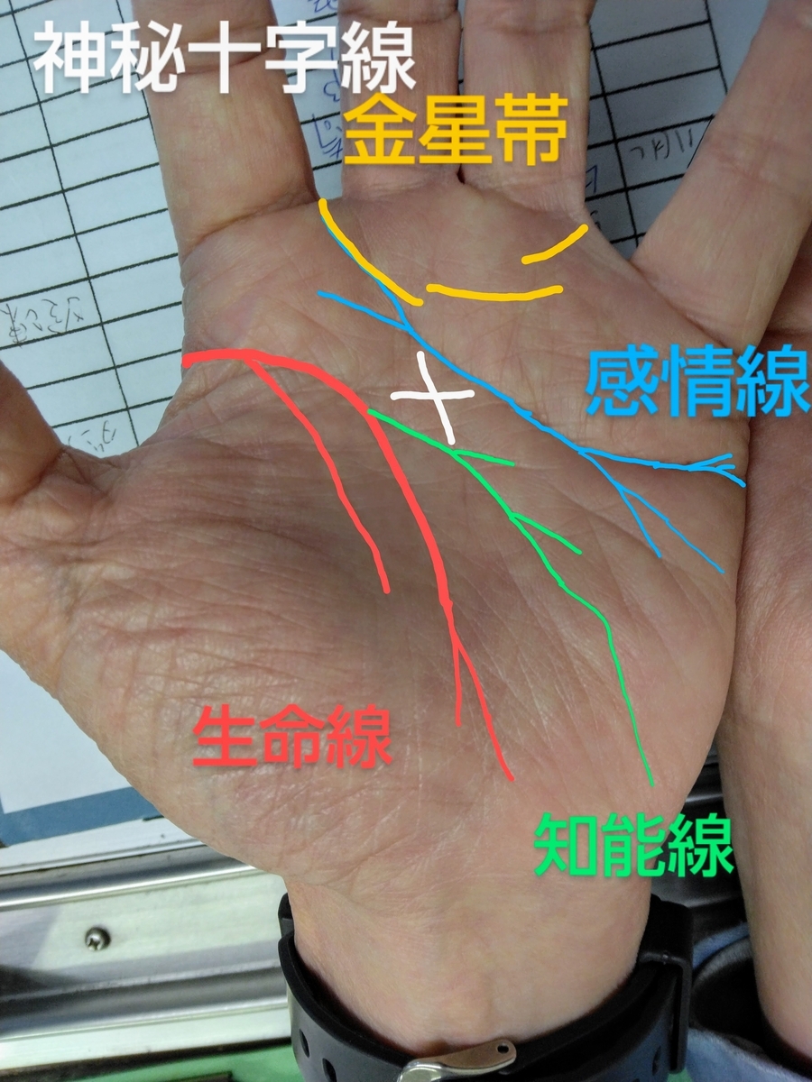 ココカラ - 素直な天邪鬼