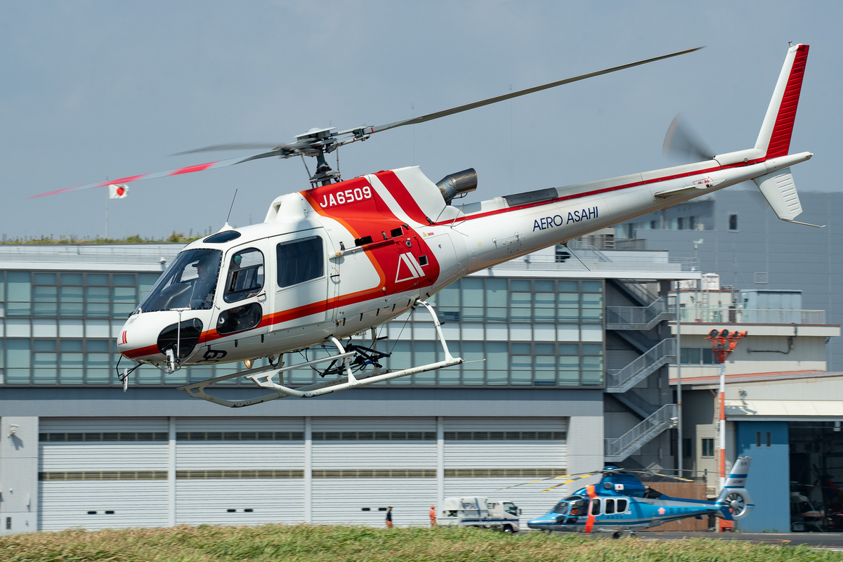 2023年 8月16日（水） ついに夏休み3日目、行く当てもなく結局東京ヘリポートへ行った話 - 基本は調布飛行場で見たヘリコプターの日記