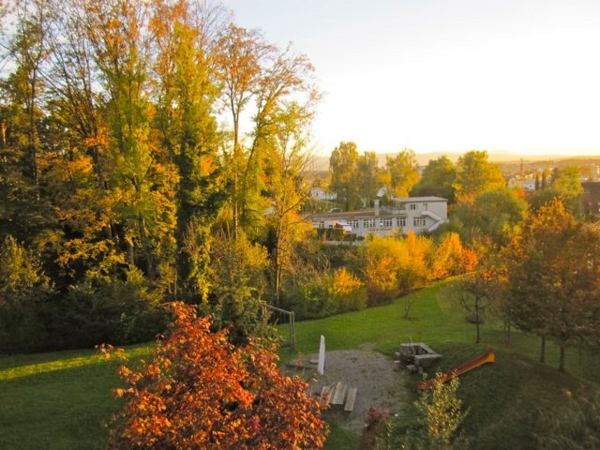 個別「20131017171512」の写真、画像 - alexander-kumi's fotolife