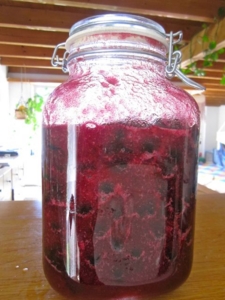 個別「20140703115455」の写真、画像 - alexander-kumi's fotolife