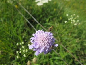 個別「20140706101411」の写真、画像 - alexander-kumi's fotolife