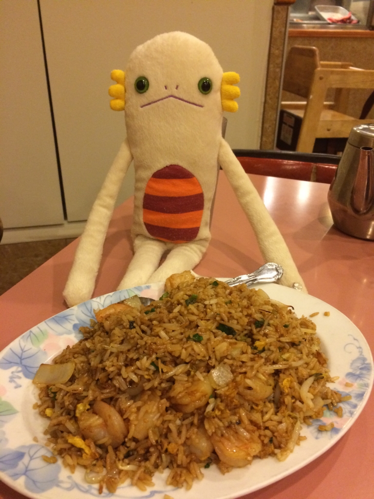 Full Kee (Chinese restaurant) Washington DC - エイリアン、地球を行く