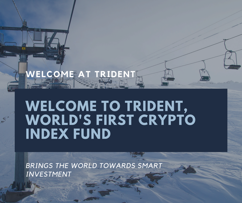 Trident Crypto Fund - ALPACA BLOG