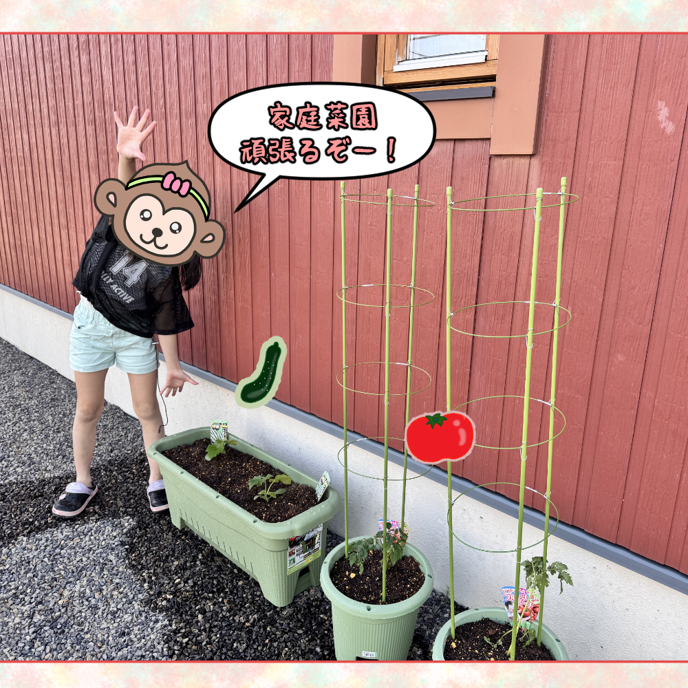 今年は家庭菜園に初挑戦！ - しもしもさん家のブログ