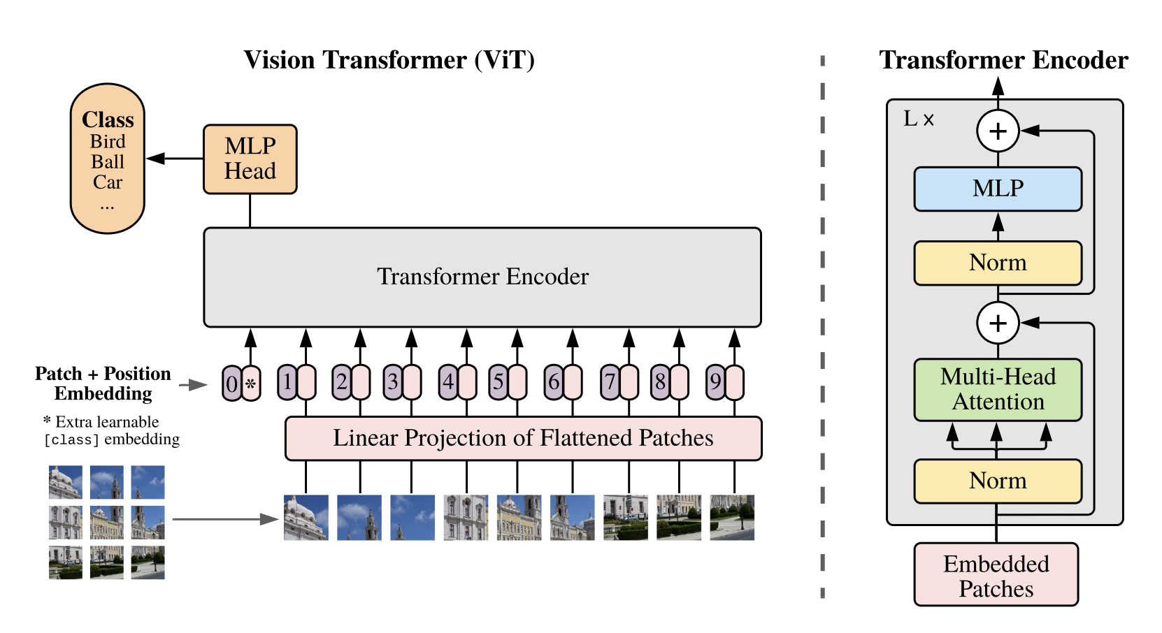 【入門】Vision Transformerによる画像分類 - Amaru Note