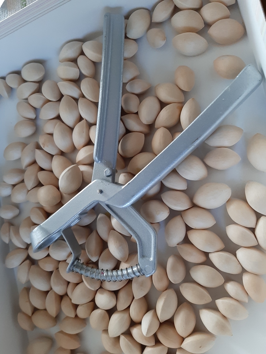 ありがたい銀杏 ＆ニット教室 - りりのあみはな日記