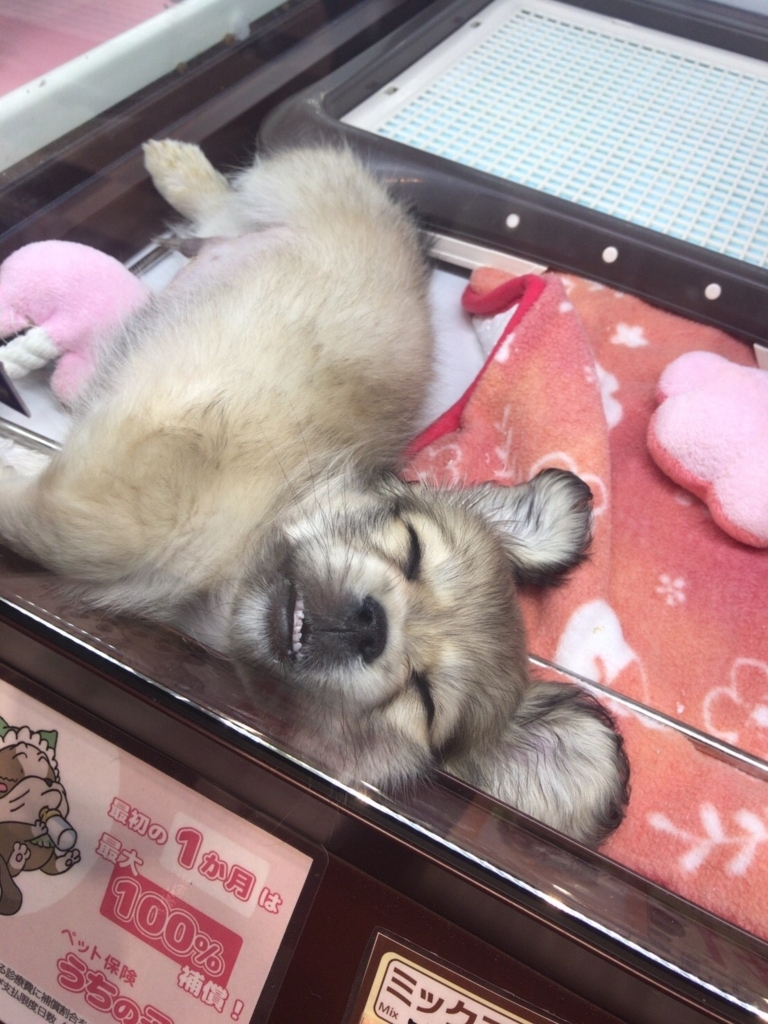 簡単家庭料理！300円以内でできる本格料理！！（材料編） - 現役プロバーテンダーが教えるお酒，料理の一般教養