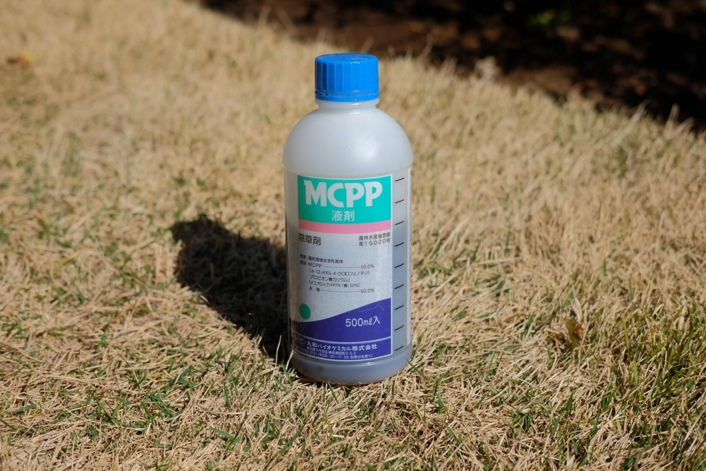 雑草スギナの対策 - 植物とわたしの暮らし