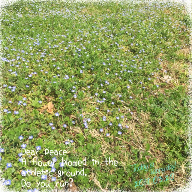 Spring footsteps - 春の足音 - DOG CLUB CACUS