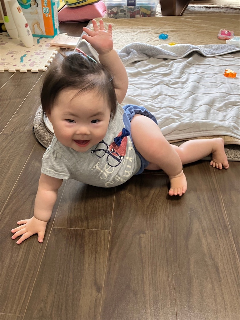 アンリちゃんの2525成長記