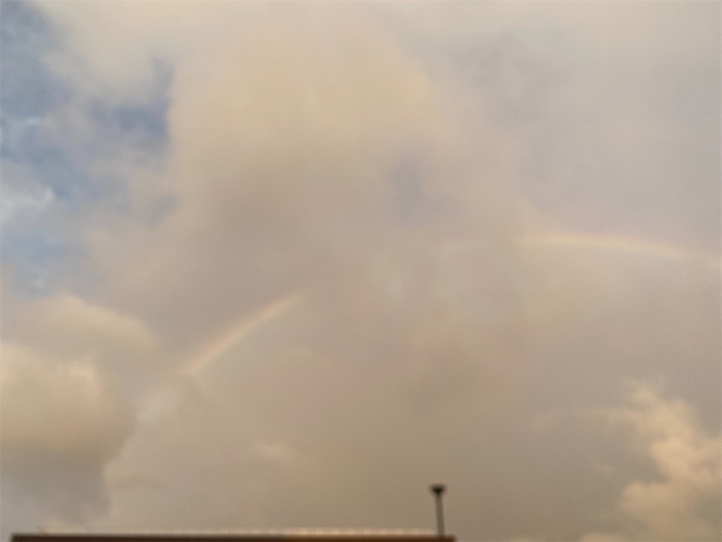 虹20220901 - 青木飴色 AMEIRO AOKI