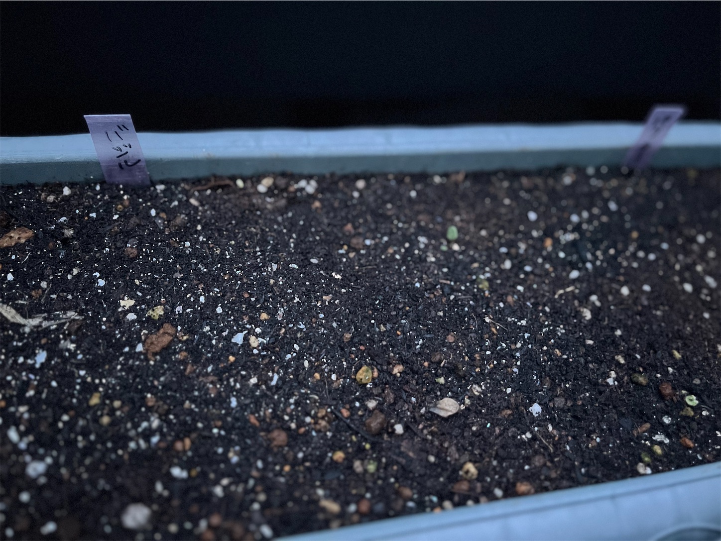 この世が青い時間 - 青木飴色 AMEIRO AOKI