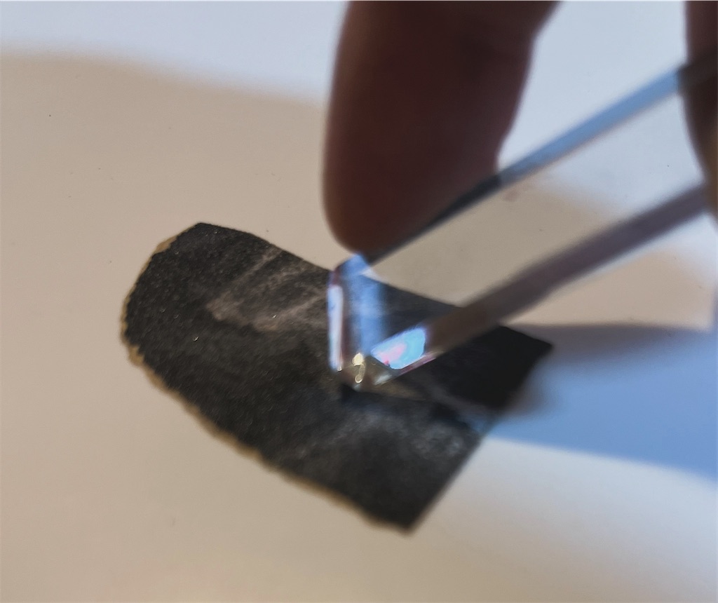 どこかの枝の物語 The story of a branch of somewhere - 青木飴色日記 Ameiro Aoki Diary